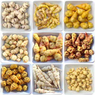 Mashua (Tropaeolum tuberosum) – Cultivariable