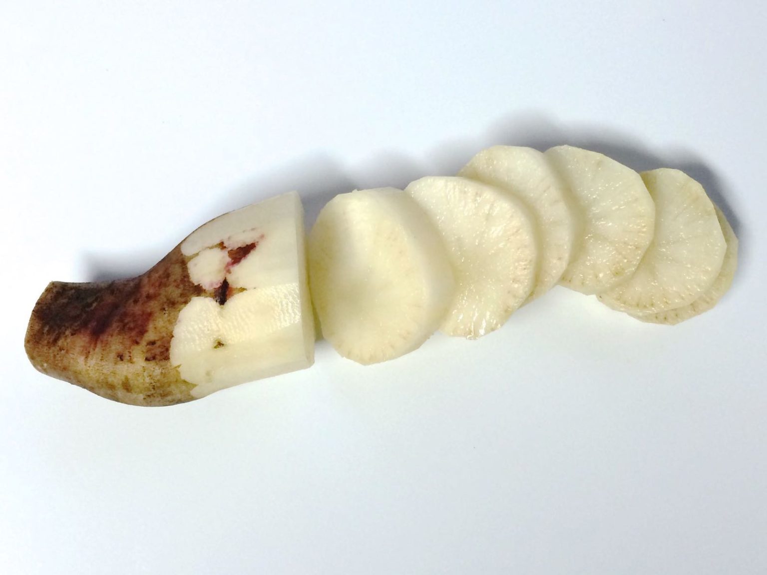 Yacon (Smallanthus sonchifolius) – Cultivariable