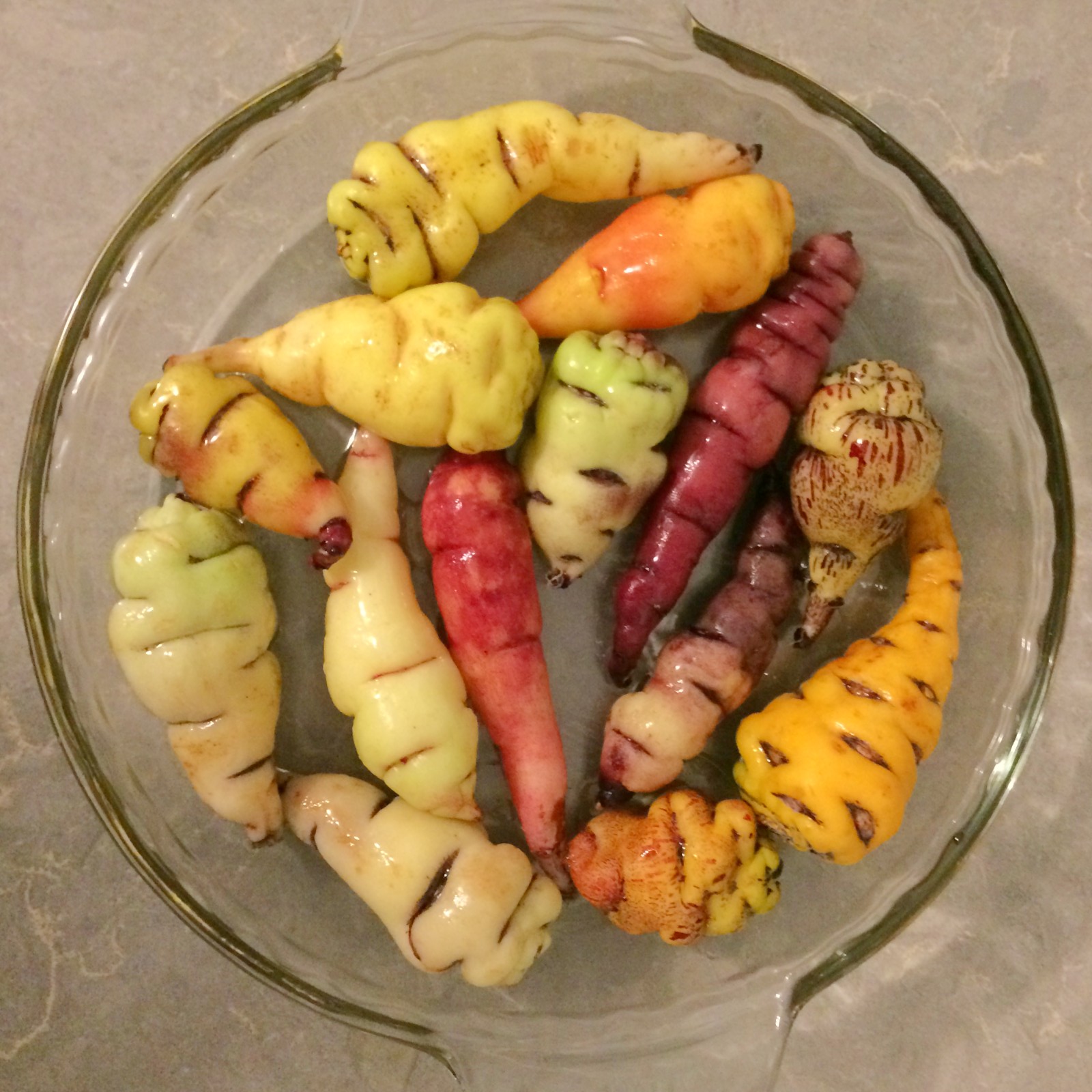 Mashua Flavor Comparisons - Cultivariable