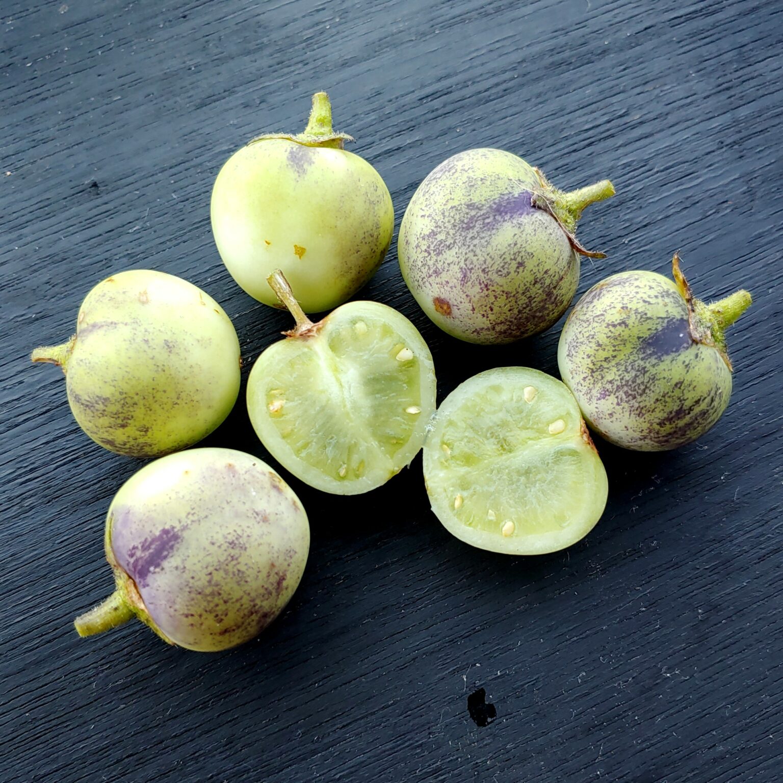 Solanum ajanhuiri – Cultivariable