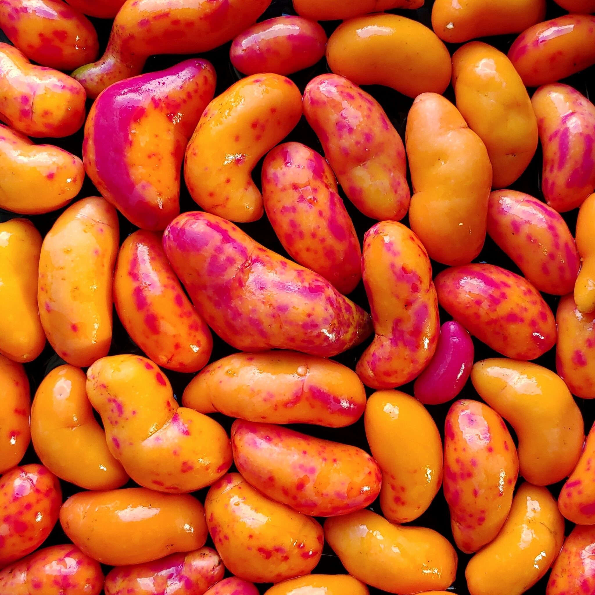 Ulluco Varieties – Cultivariable